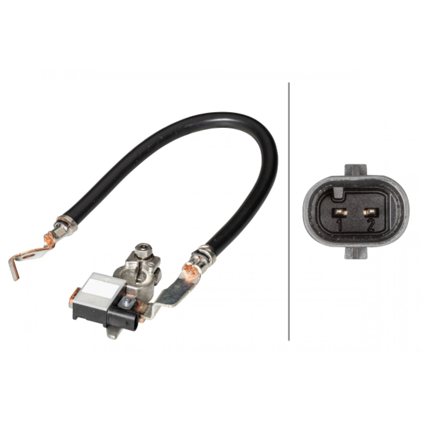 Sensor, battery management HELLA 6PK 013 442-901 - Trodo.com