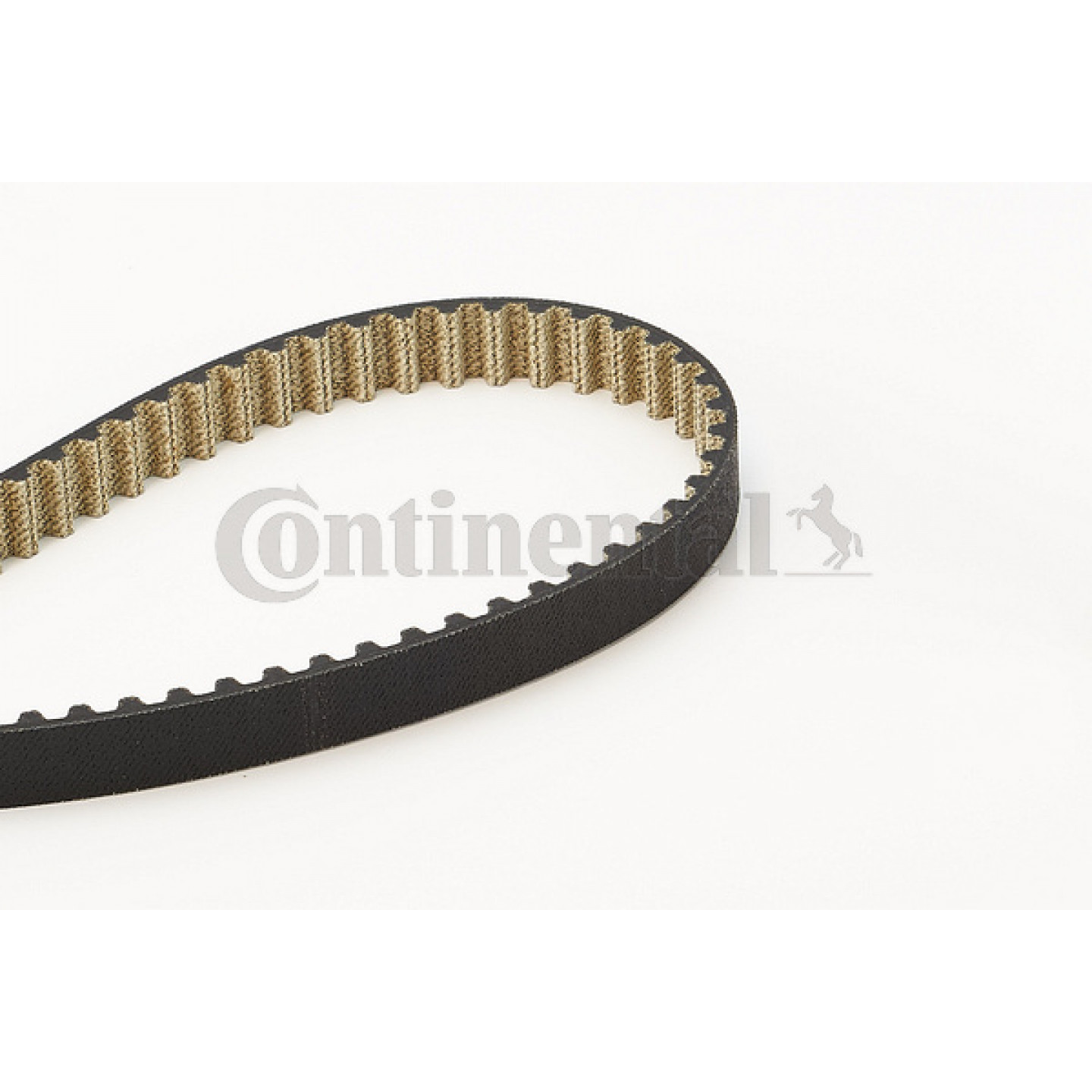 Timing Belt CONTITECH CT1211 - Trodo.com
