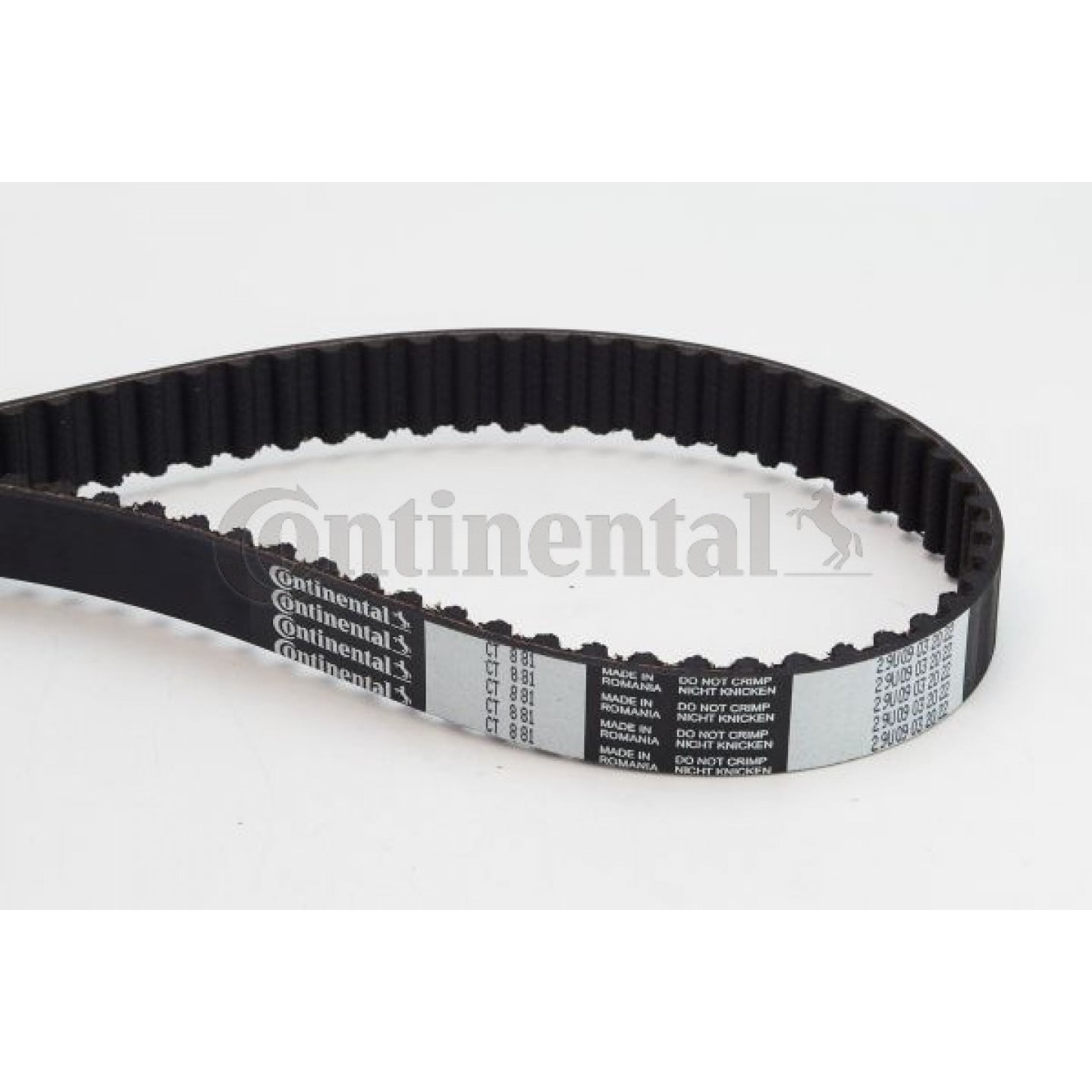 Timing Belt CONTITECH CT881 - Trodo.com
