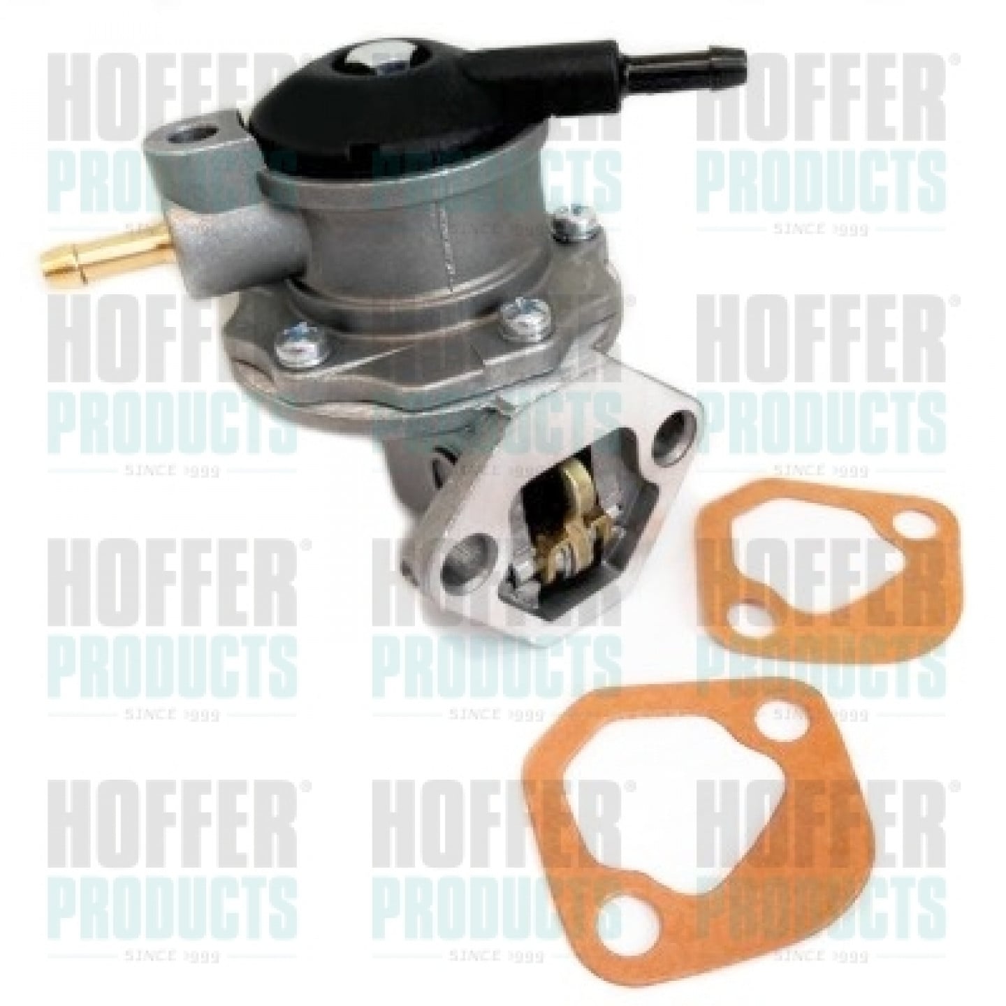 Fuel Pump HOFFER HPOC099 - Trodo.com