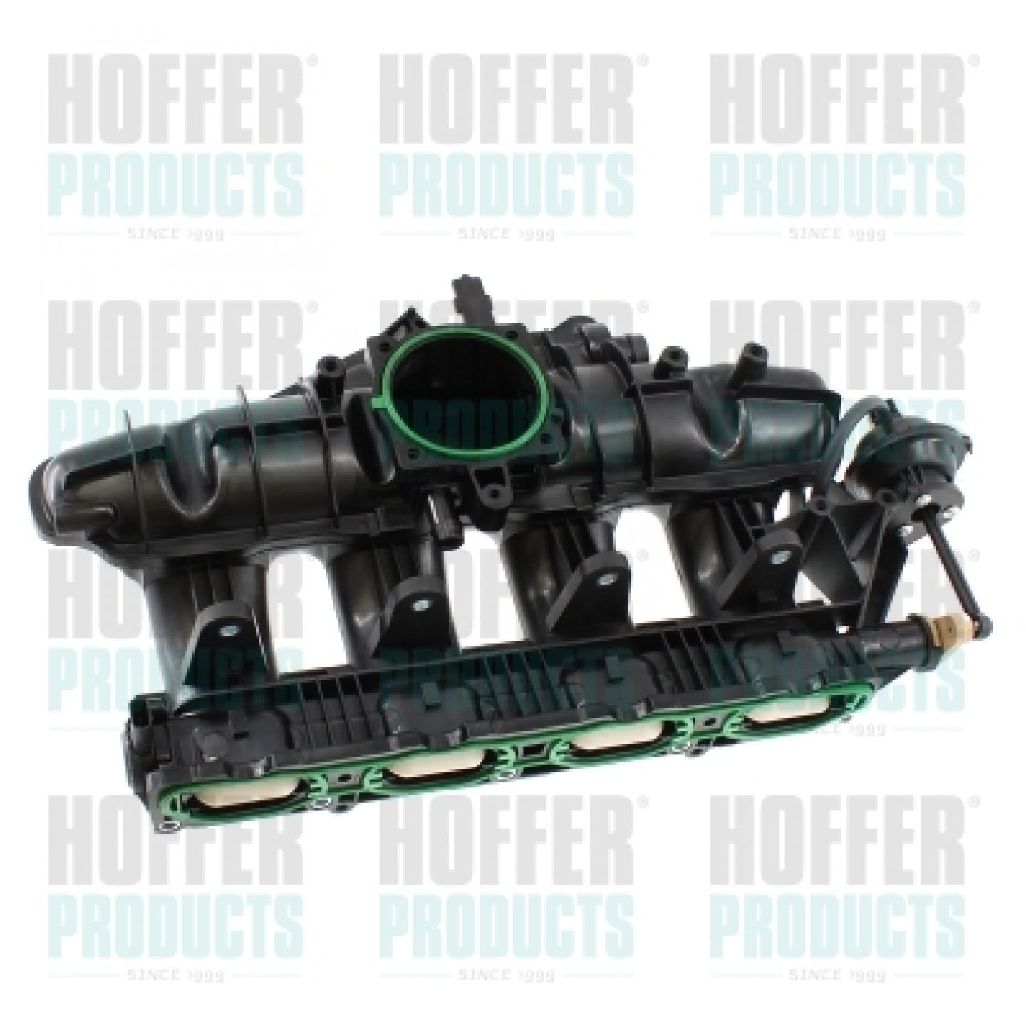 Intake Manifold Module HOFFER 7519509 - Trodo.com