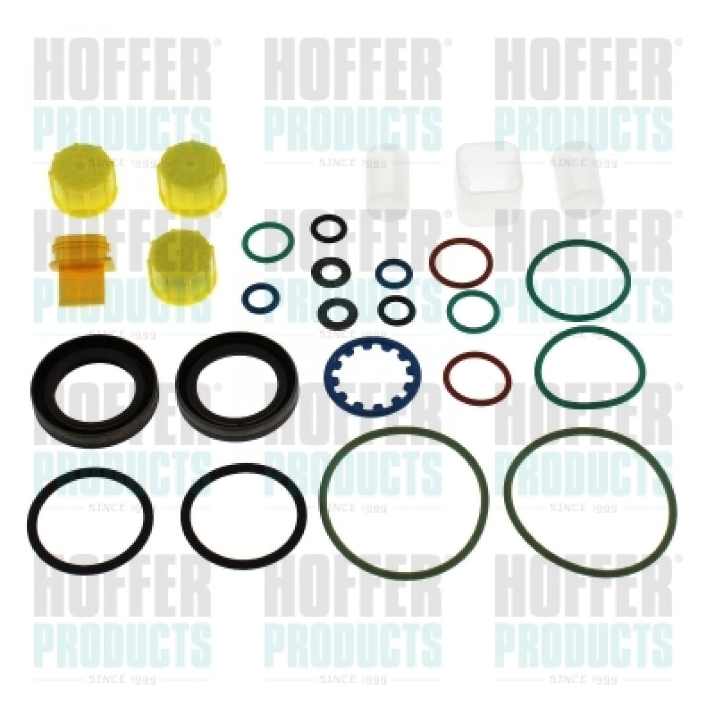 Repair Kit, common rail system HOFFER 98794 - Trodo.com