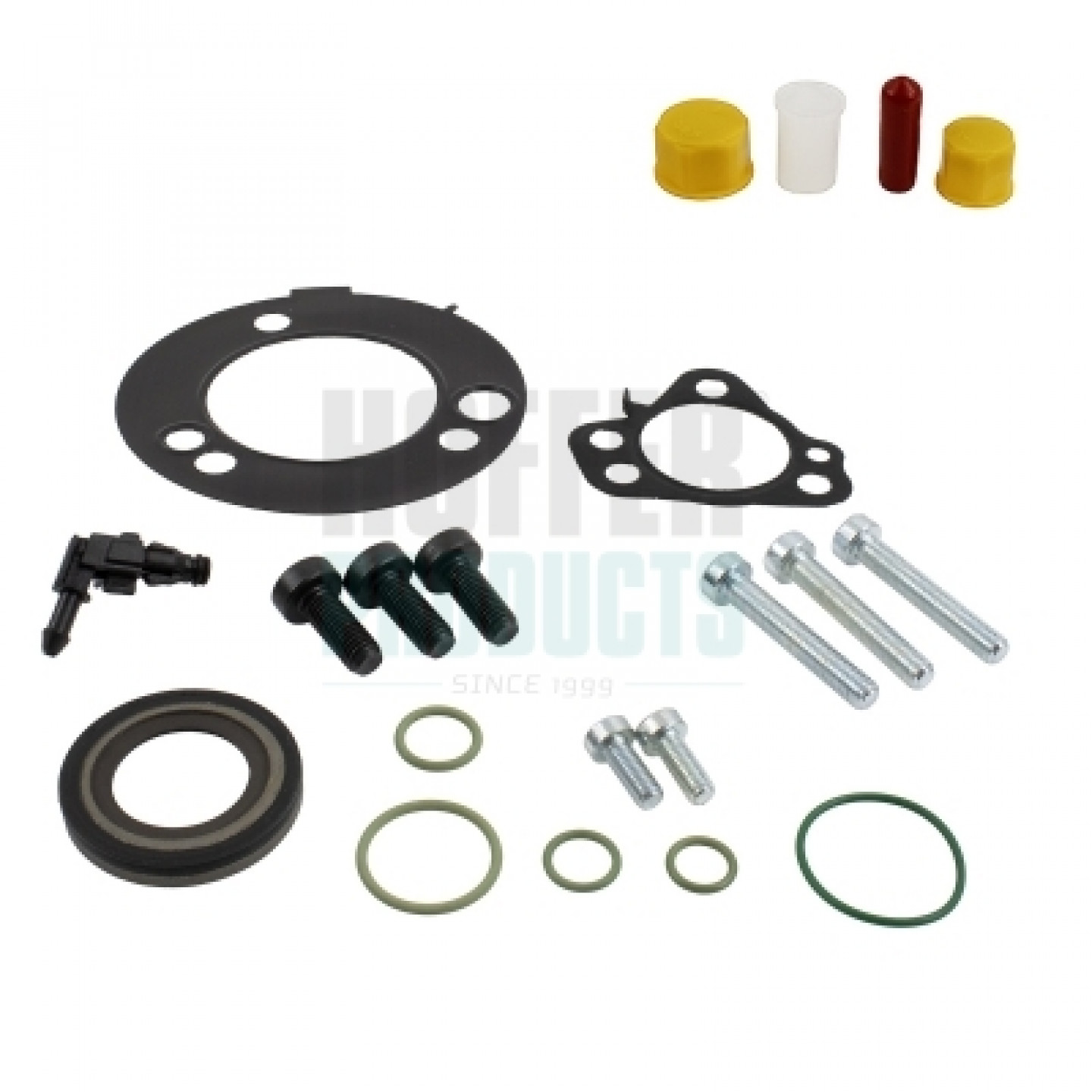 Repair Kit, common rail system HOFFER 981256 - Trodo.com
