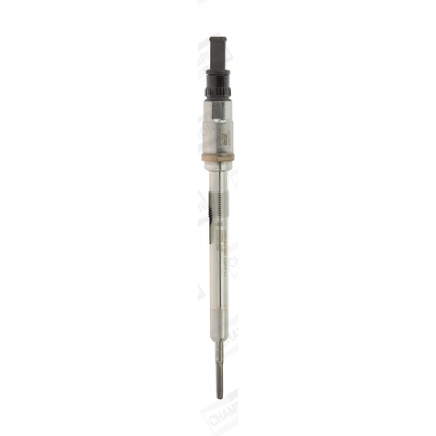 Glow Plug CHAMPION CPSG007 - Trodo.com