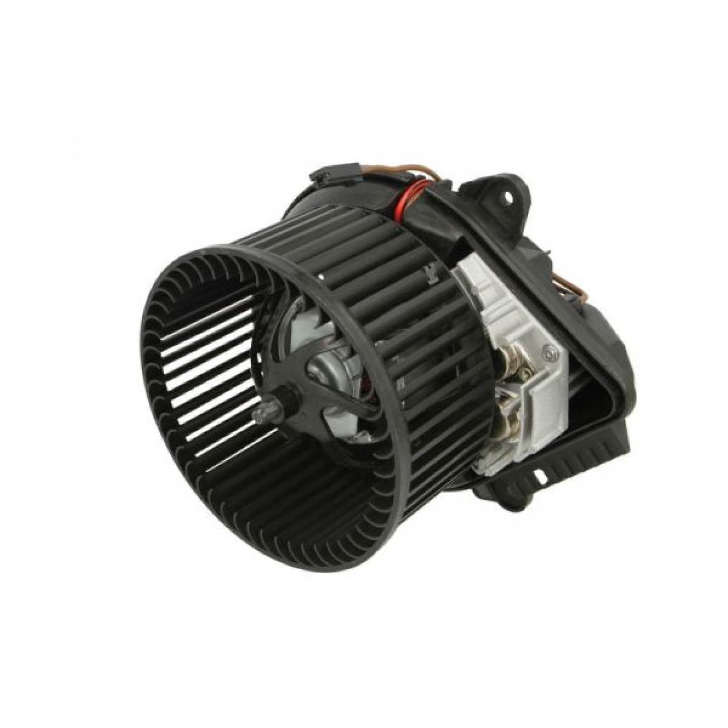 Electric Motor, interior blower THERMOTEC DDP011TT - Trodo.com