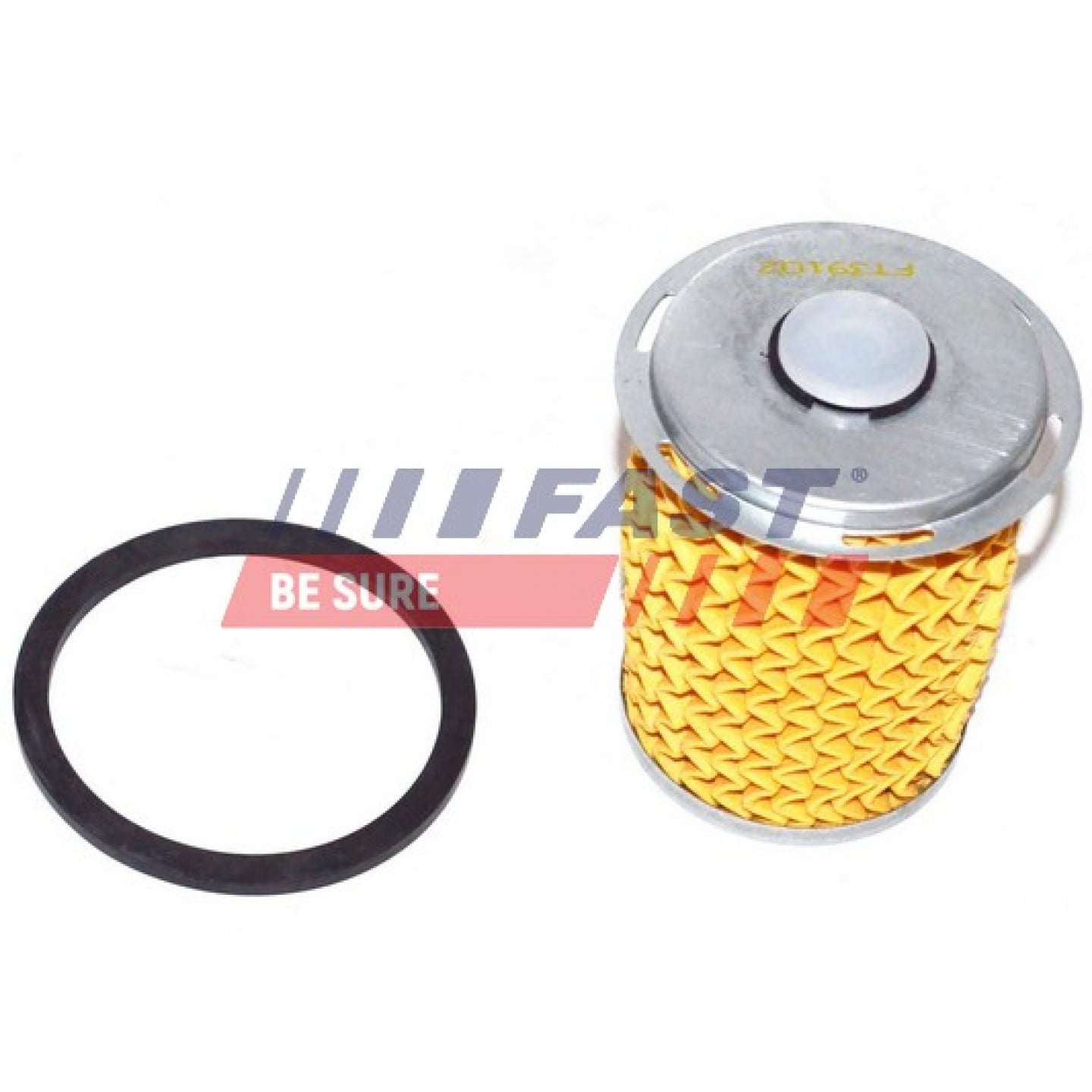 Fuel filter FAST FT39102 - Trodo.com