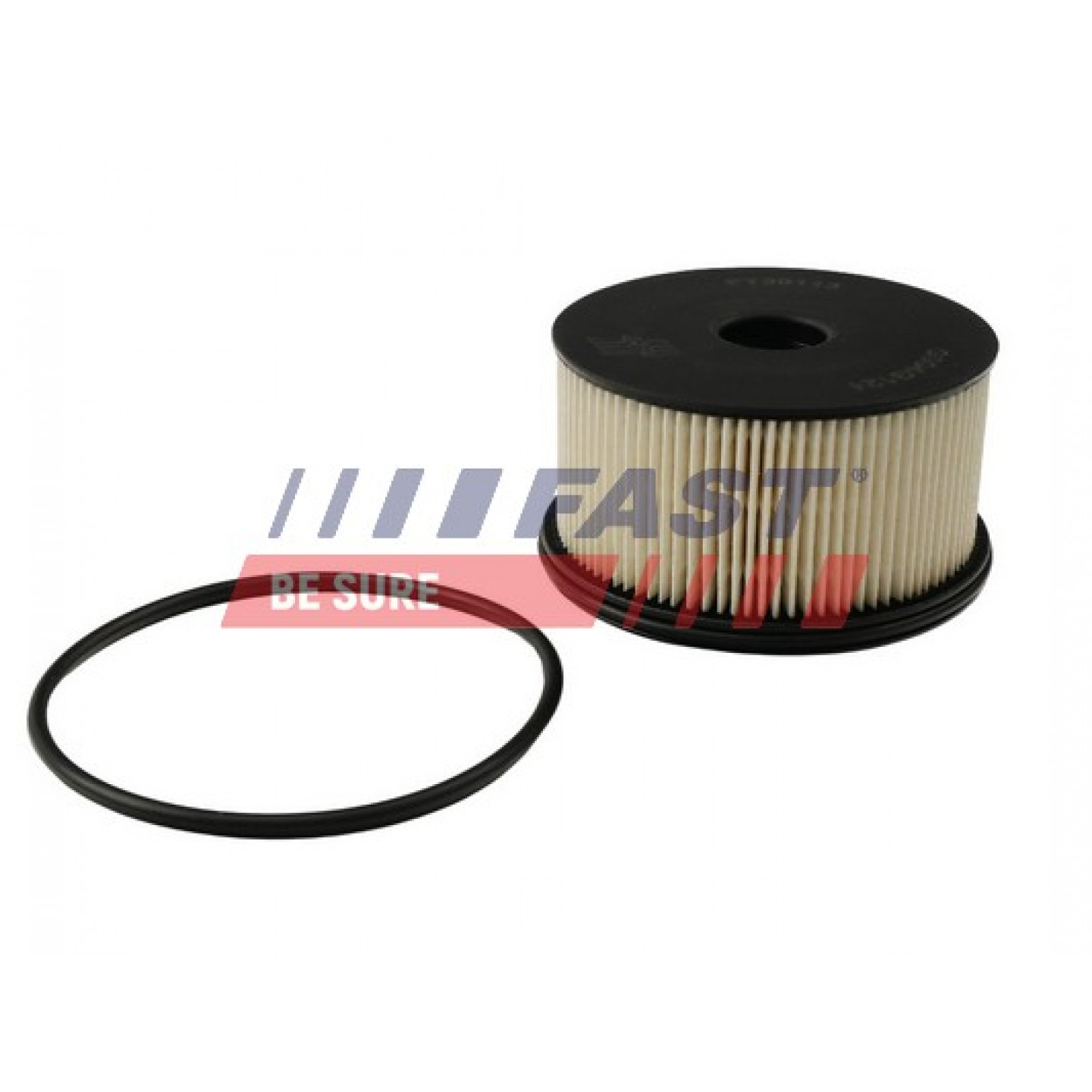 Fuel filter FAST FT39113 - Trodo.com