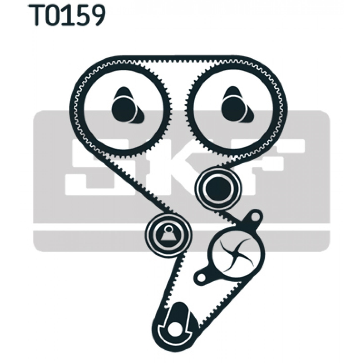 Water Pump & Timing Belt Set SKF VKMC 06021 - Trodo.com