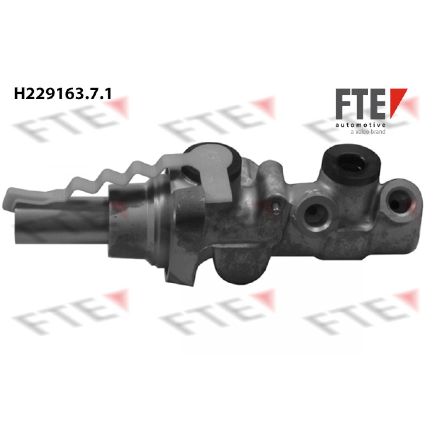 Brake Master Cylinder FTE 9220207 - Trodo.com