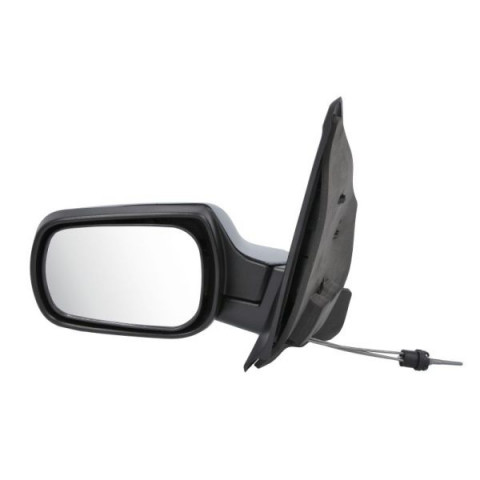 Exterior Mirror BLIC 5402-04-1137387- Trodo.com